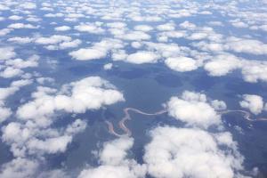 Amazon rubber boom: The late 19th century saw a rush to exploit this ...