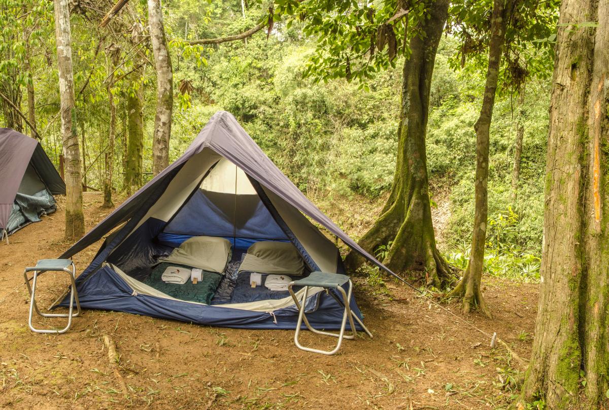 Ecolodge and camping